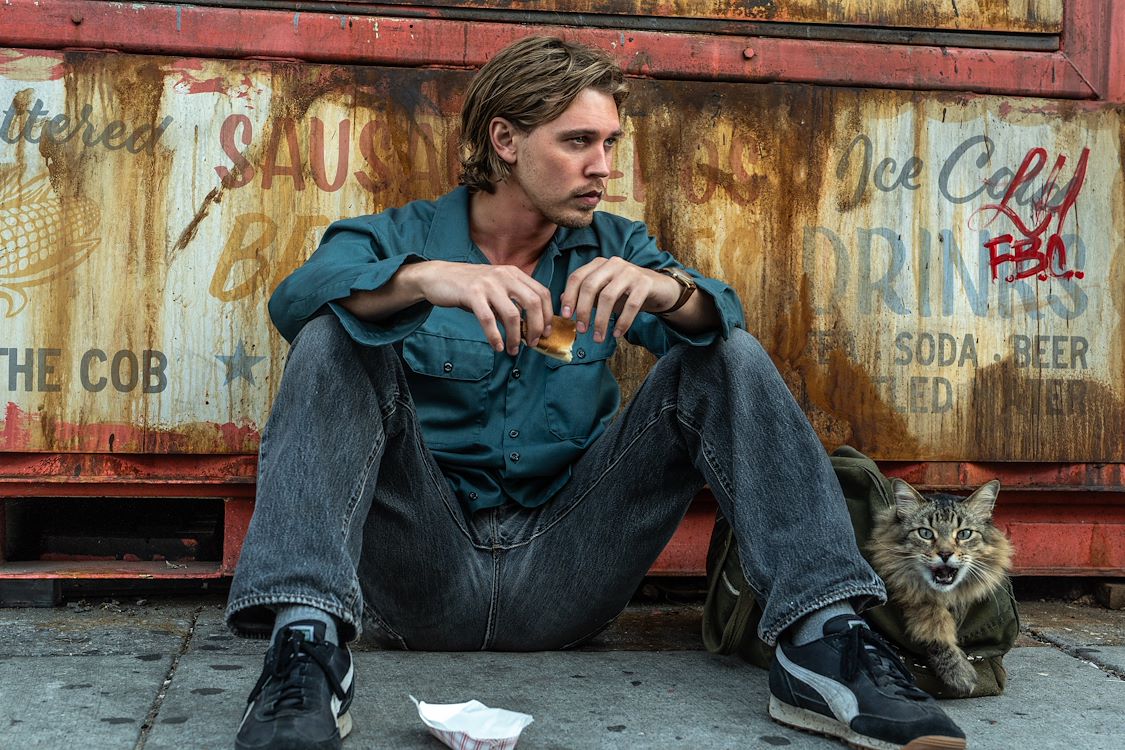 Caught Stealing - Focus Filmtheater Arnhem